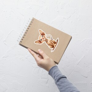 Hairless Spyhnx Cat Vinyl Sticker - Cute Kitten Decal for Laptops ...