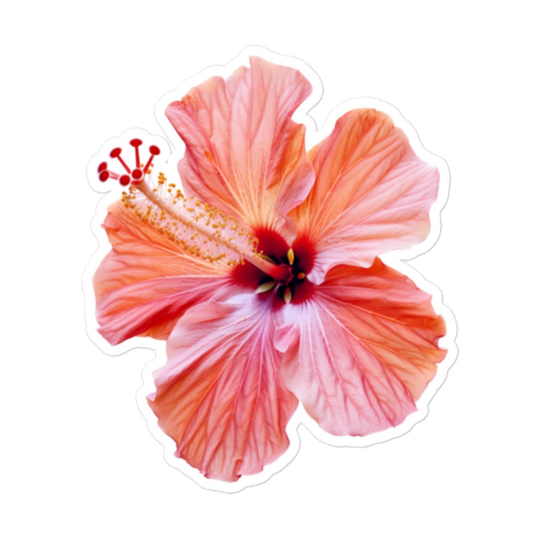 Vibrant Hibiscus Flower Vinyl Sticker – Tropical Floral Decal for ...