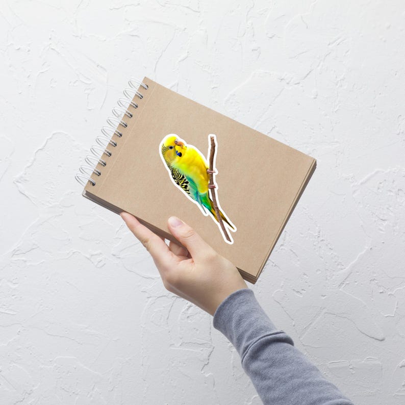 Yellow and Green Parakeet Vinyl Sticker - Budgerigar Bird Decal for ...