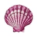 Vintage Pink Scallop Shell Vinyl Sticker Retro Beach Decal for Water ...