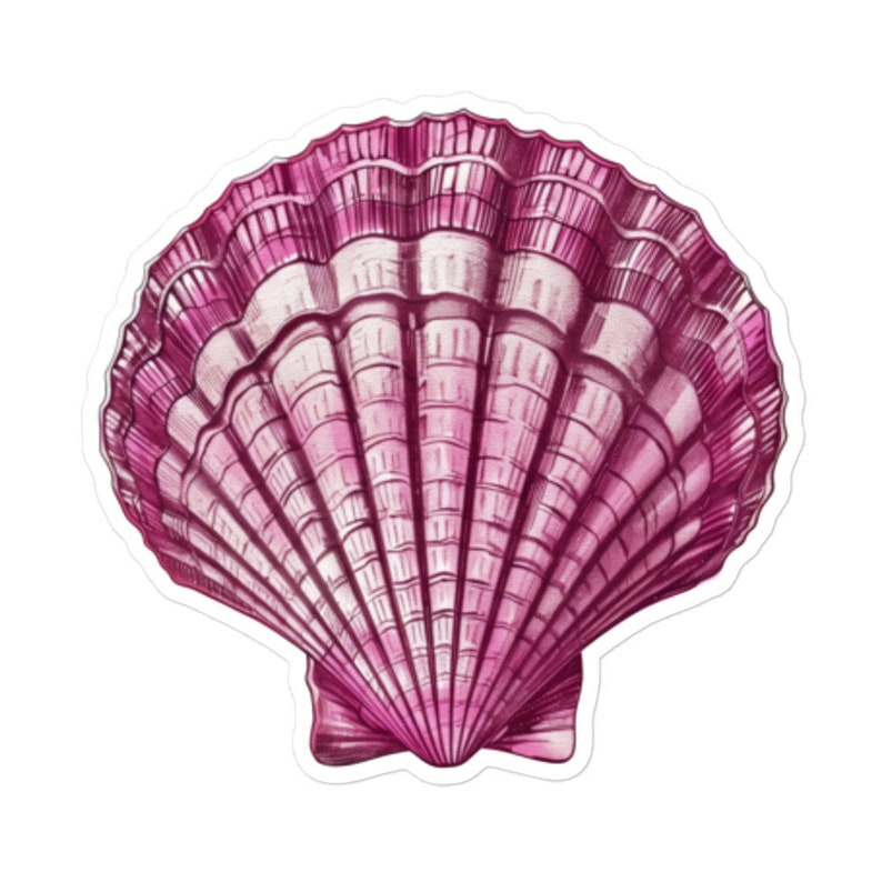 Vintage Pink Scallop Shell Vinyl Sticker Retro Beach Decal for Water ...