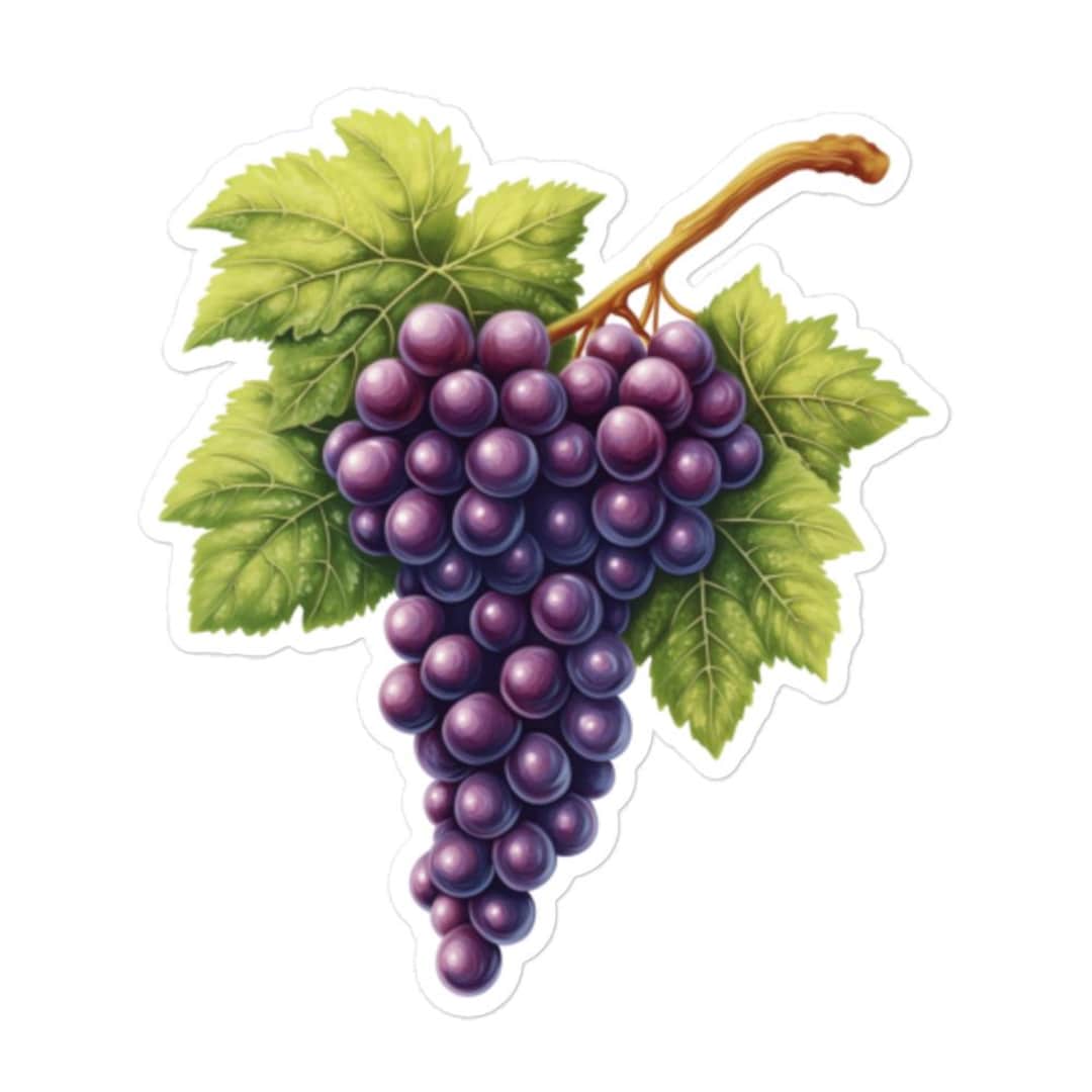 Purple Grapes With Green Leaves and Vine Sticker – Fruit Vinyl Decal ...