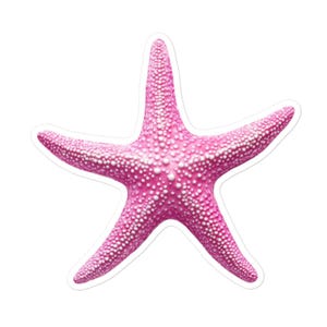 Pink Starfish Vinyl Sticker – Ocean Decal for Laptops, Water Bottles ...