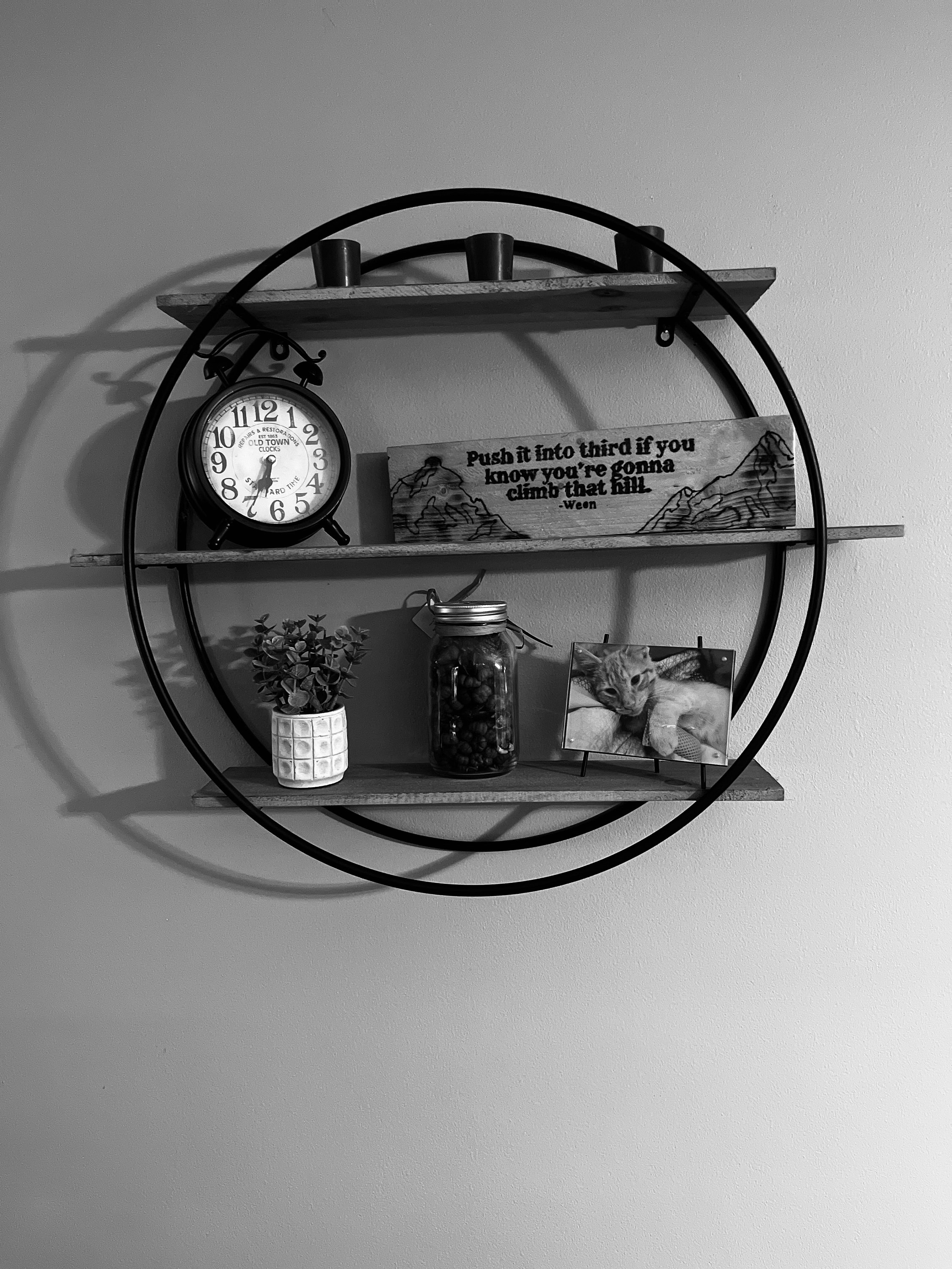 Wall-mounted Wooden Plaque ween Roses Are Free Edition - Etsy