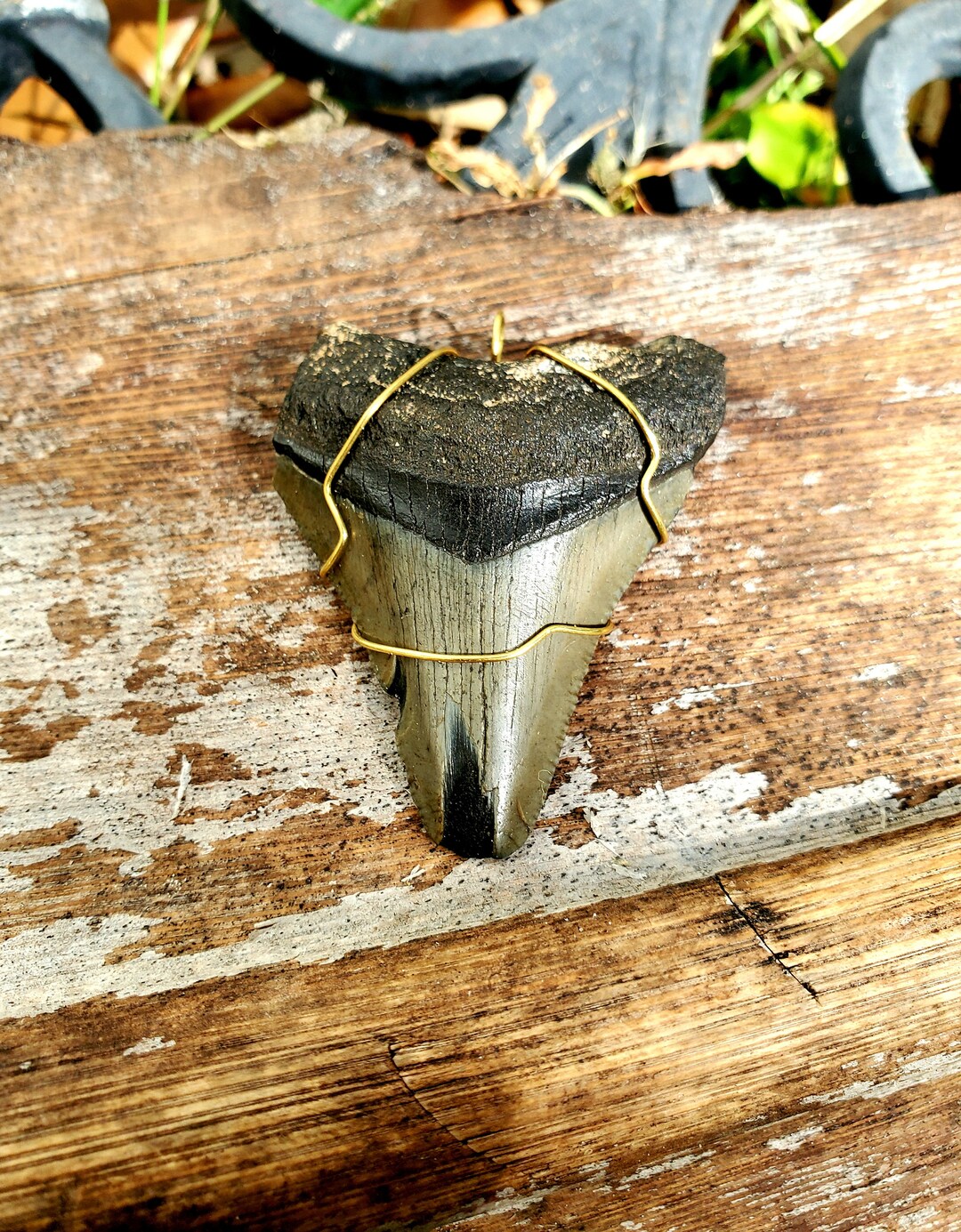 Authentic Megalodon Tooth Necklace - Etsy