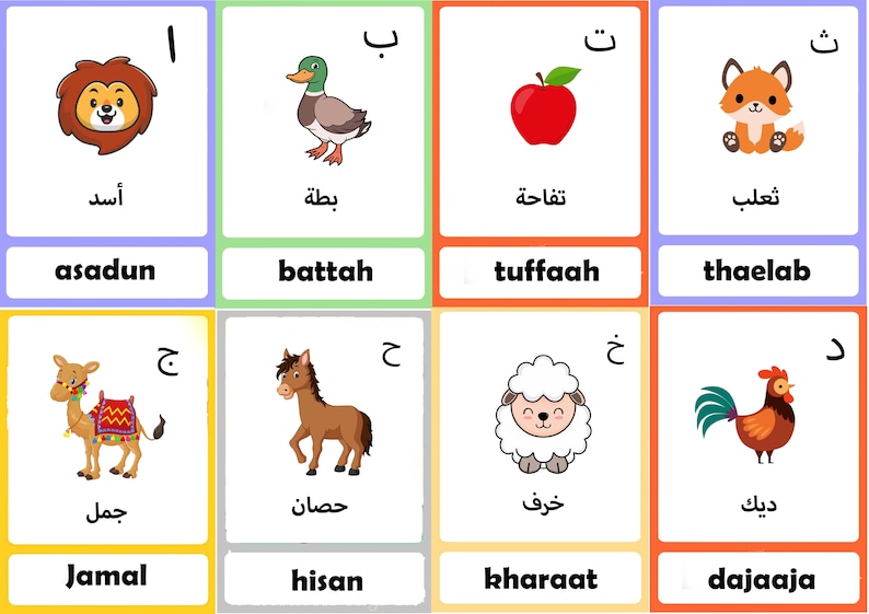 Arabic Alphabet Educational Flash Cards Learning Islamic Quran Tajwid ...