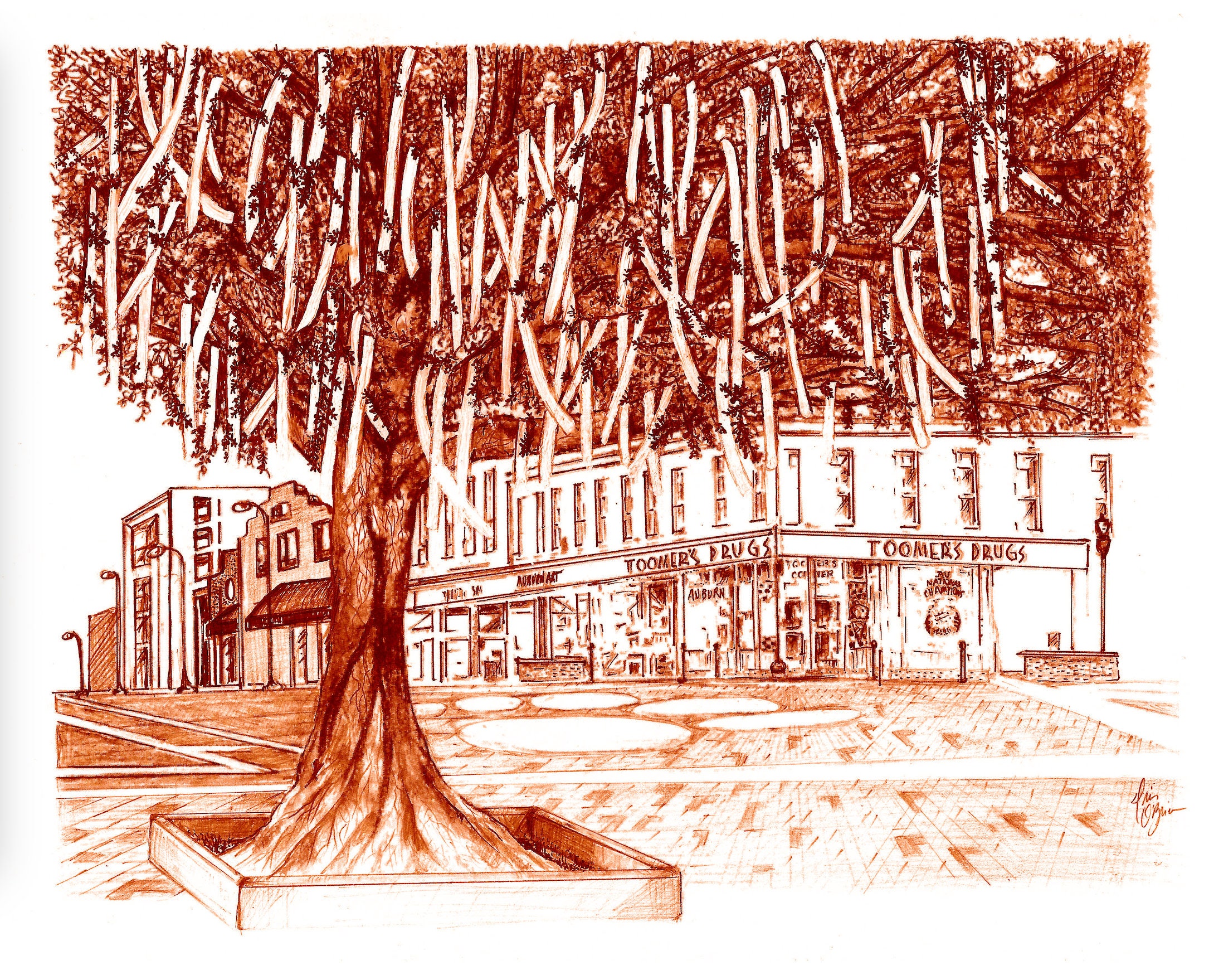 Rolled Toomer's Corner in Black and White, Orange and Navy - Etsy