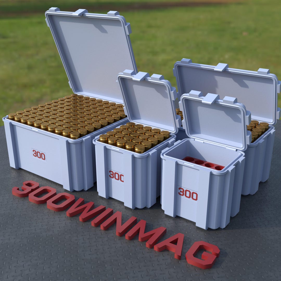 Digital STL File ABOX Ammo Box 300 Win Mag Ammunition Storage Ammo ...