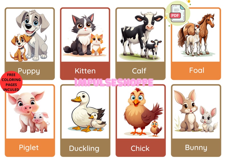 16 Baby Animals Flash Cards Baby Animals Printable Flash Cards - Etsy