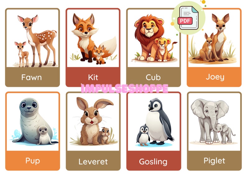 16 Baby Animals Flash Cards Baby Animals Printable Flash Cards - Etsy