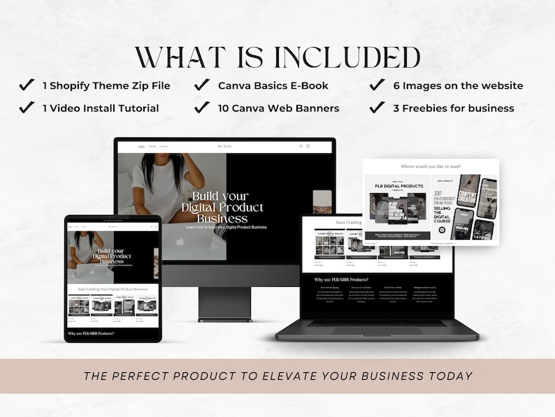 Shopify Theme for Digital Products, Sell on Etsy Website Template for Digital Product, PLR and ...