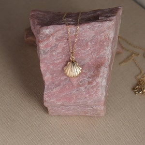 14K Solid Gold Sea Shell Necklace, Dainty 14k Real Gold Shell Necklace ...
