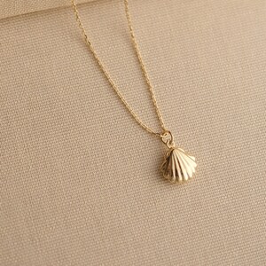 14K Solid Gold Sea Shell Necklace, Dainty 14k Real Gold Shell Necklace ...