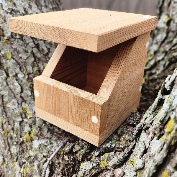 Robin Bird House - Etsy