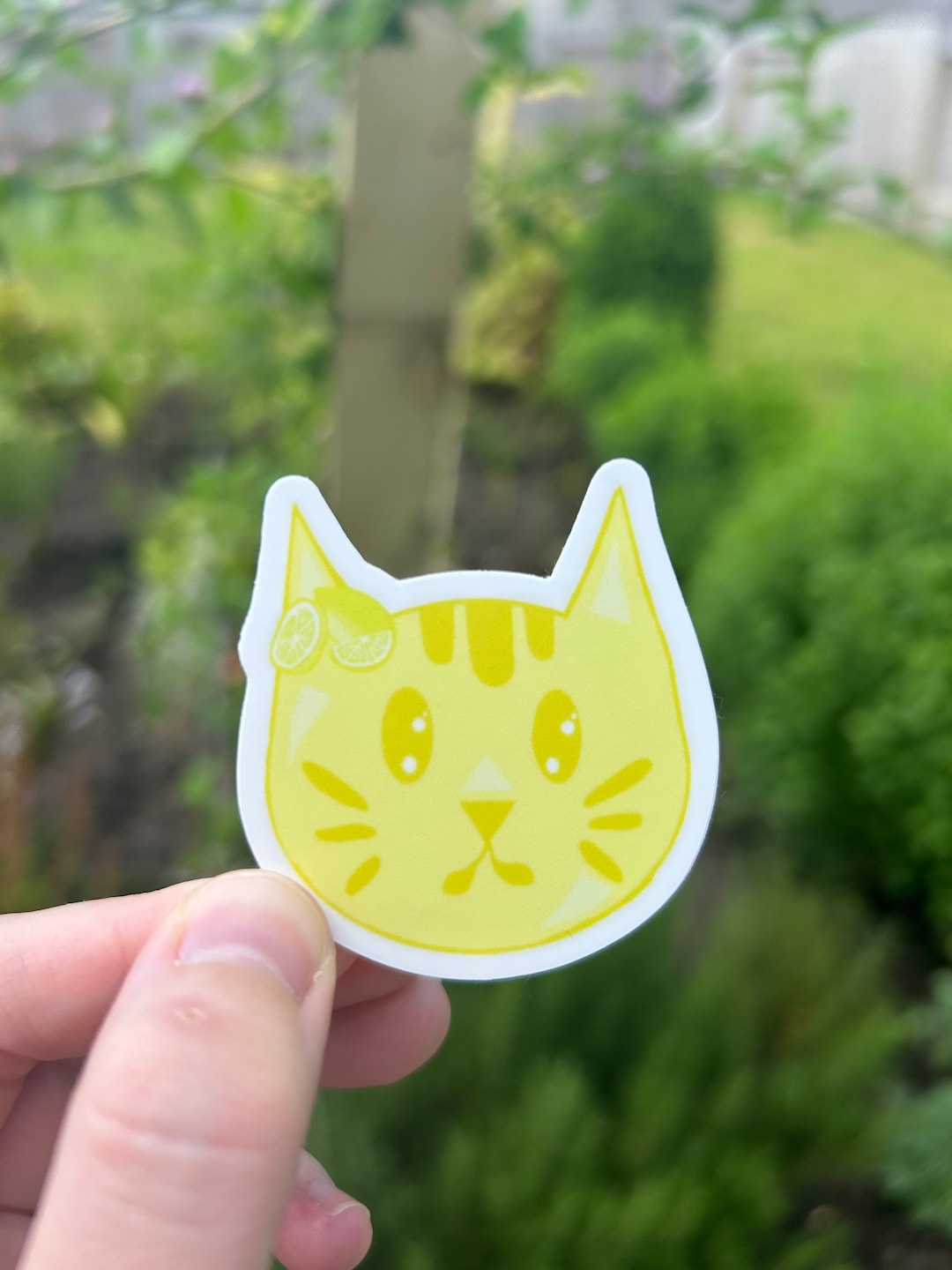 Cute Lemon Cat Vinyl Sticker / Waterproof / Laptop Decal / Car Decal ...