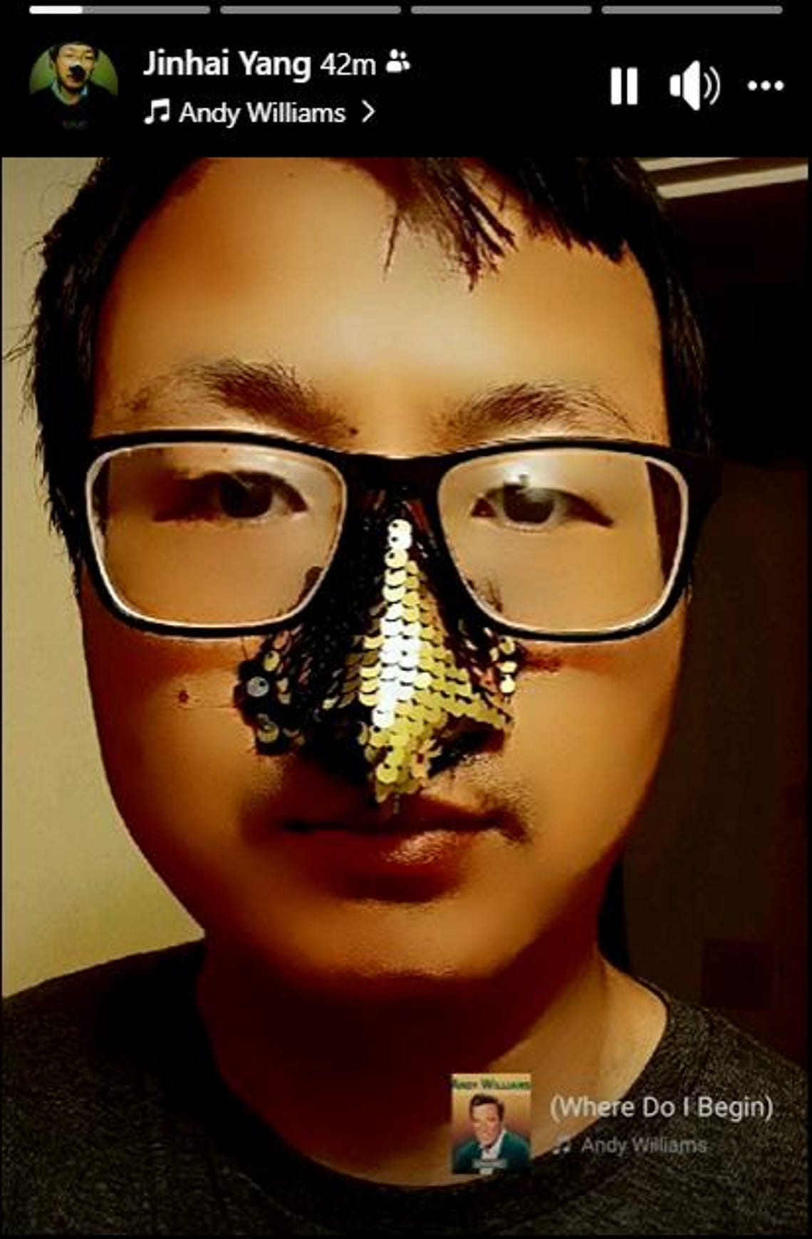 Glitter Fabric PSC Nose Mask for a Comfortable Breathing Experience - Etsy
