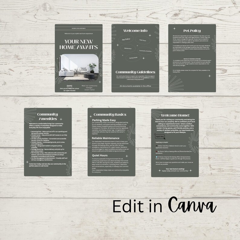 Editable Apartment Tour Flyer | Landlord Leasing Packet Handout ...