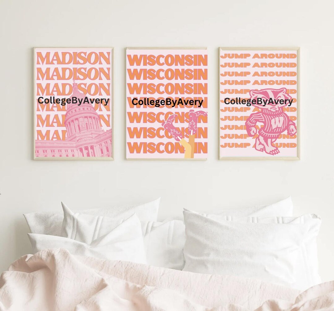 UW Wisconsin Madison Badgers 3 Pack of Preppy Pink College Dorm Decor ...