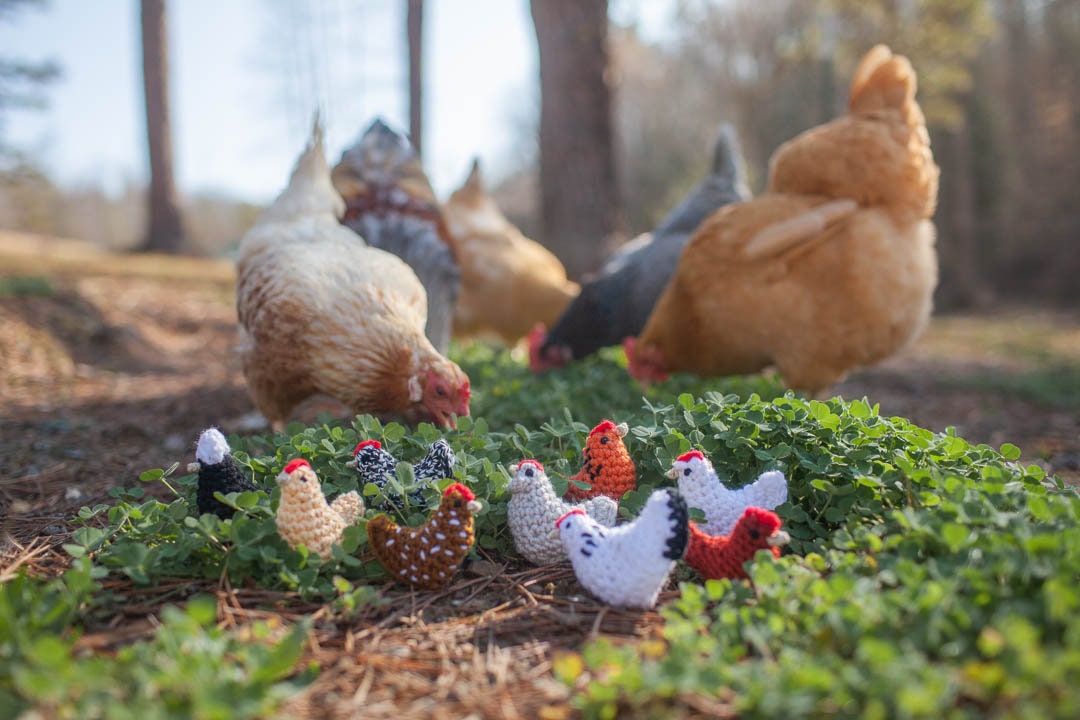 Little Chicken Crochet Pattern - Etsy