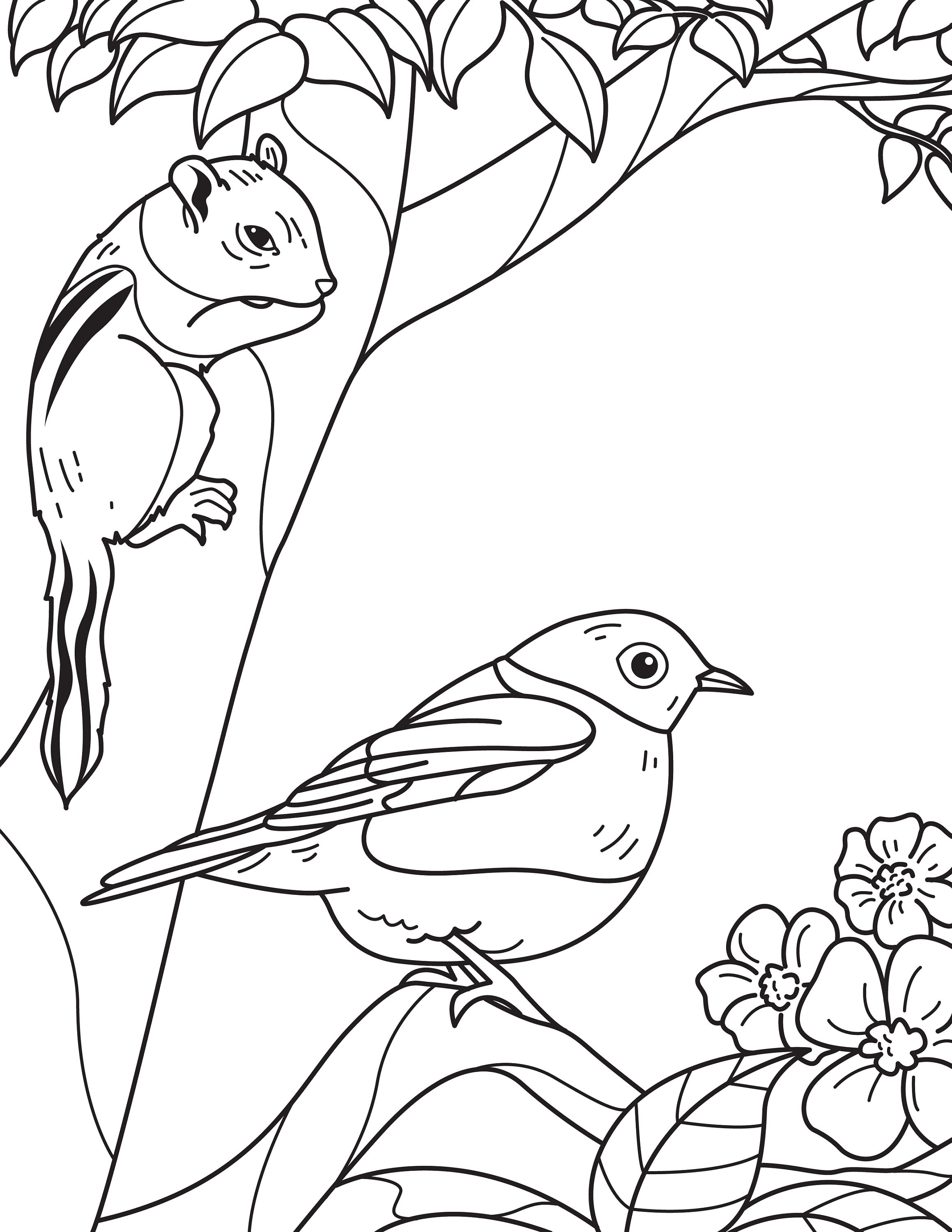 Beautiful Birds Simple Coloring Pages - Bluebirds Cardinals Owls Eagles ...