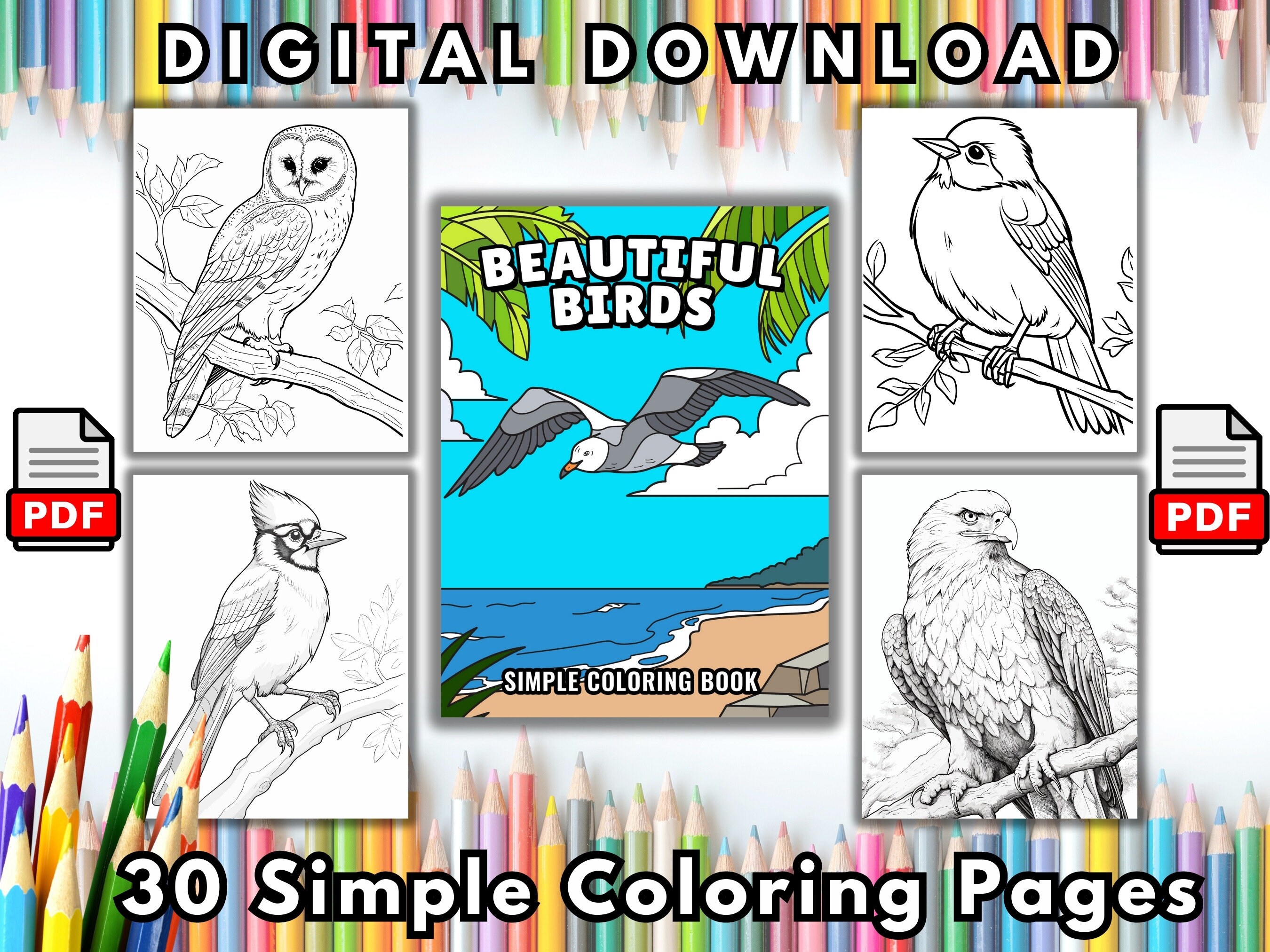 Beautiful Birds Simple Coloring Pages - Bluebirds Cardinals Owls Eagles ...