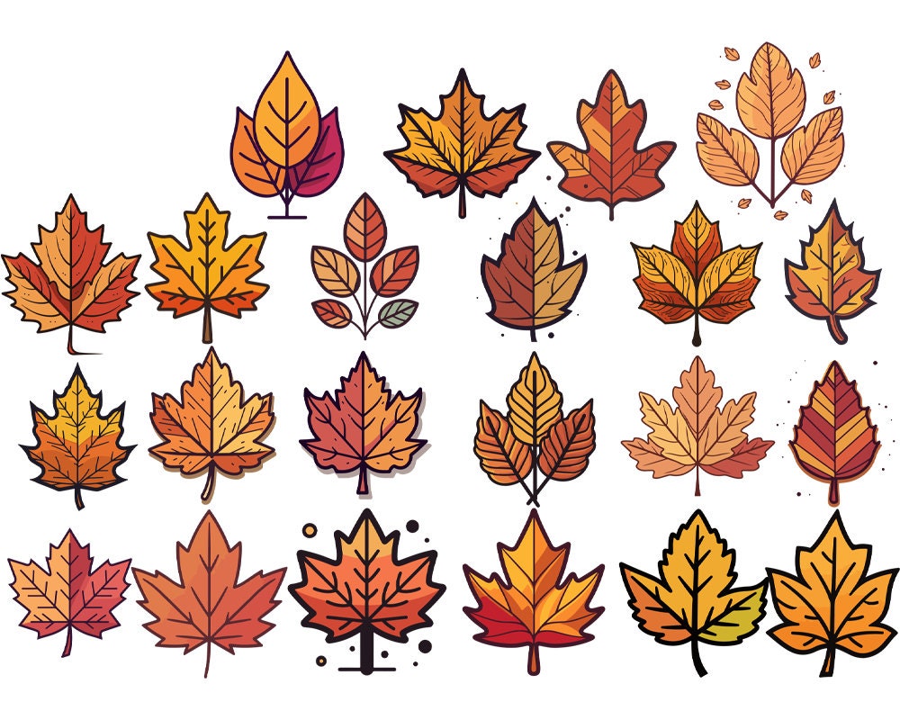 Cute Autumn Leaves SVG PNG Bundle Orange Fall Leaf SVG Pack - Etsy