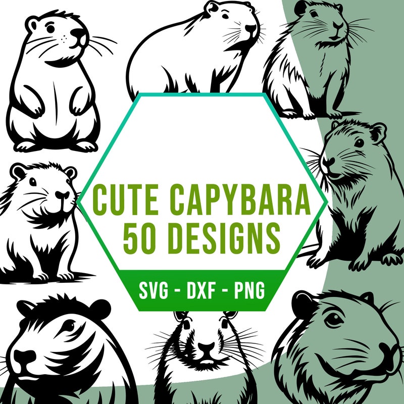 Capybara Svg - Etsy