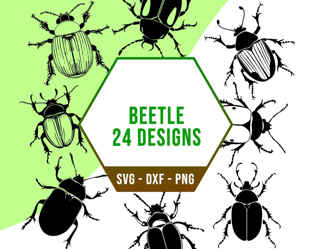 Insect Beetle SVG Bundle, Cute Nature Bug SVG Pack, Cricut Silhouette ...
