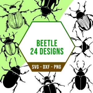 Insect Beetle SVG Bundle, Cute Nature Bug SVG Pack, Cricut Silhouette ...