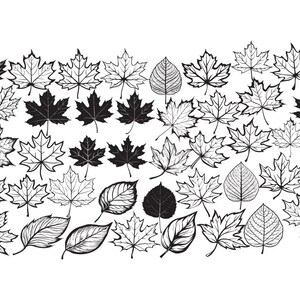 Autumn Leaves SVG Bundle, Fall Season SVG Pack, Cricut Silhouette PNG ...