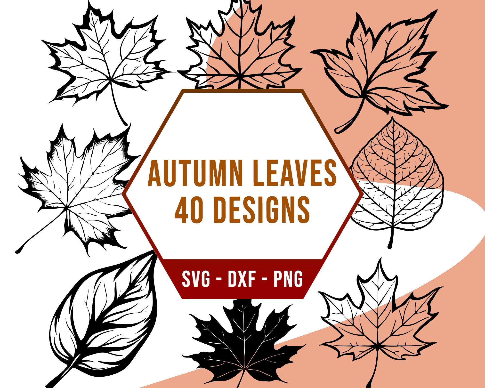 Autumn Leaves SVG Bundle, Fall Season SVG Pack, Cricut Silhouette PNG ...