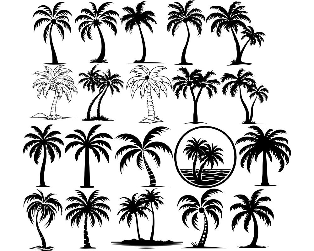 Palm Tree SVG Bundle, Tropical Tree SVG Pack, Cricut Silhouette Files ...