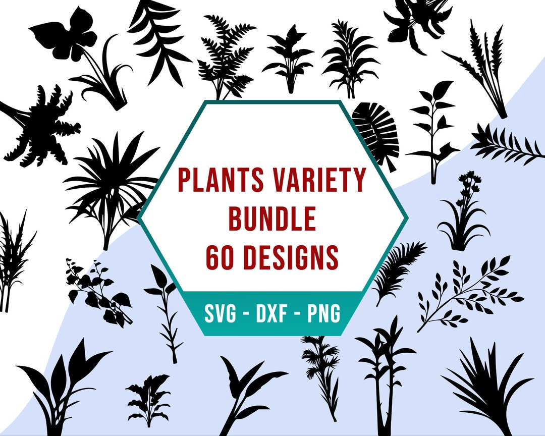 Plants Variety SVG Bundle, Leaves SVG Pack, Cricut Silhouette Files for ...