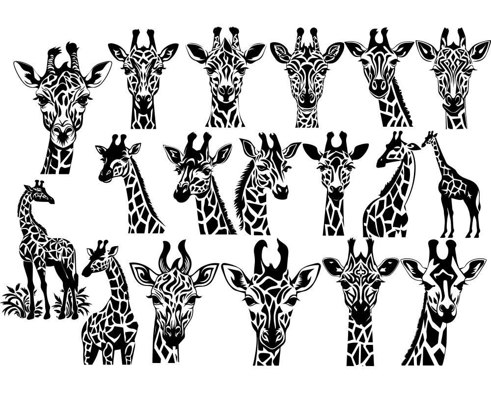 Safari Giraffe SVG Bundle, Cute Tall Zoo Animal SVG Pack, Cricut ...