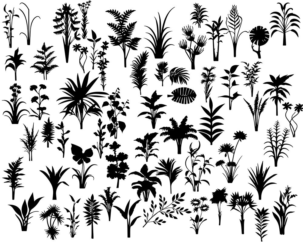 Plants Variety SVG Bundle, Leaves SVG Pack, Cricut Silhouette Files for ...