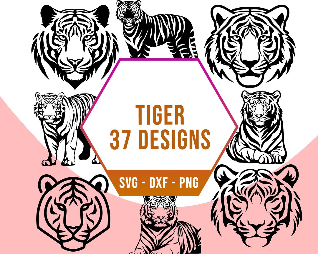 Cute Tiger SVG Bundle, Safari Zoo Animal SVG Pack, Cricut Silhouette ...