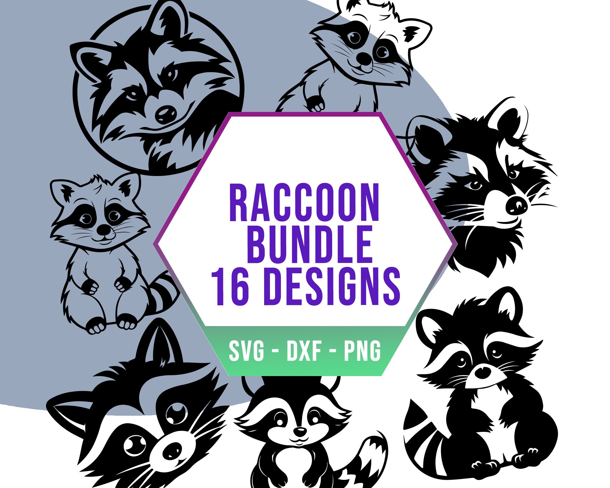 Cute Raccoon SVG Bundle, Beautiful Raccoons SVG Pack, Cricut Silhouette ...