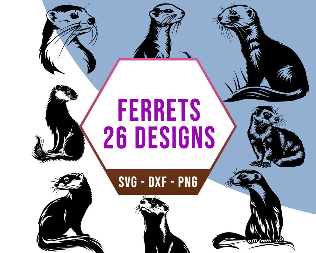 Cute Ferret SVG Bundle, Weasel Animal Pet SVG Pack, Cricut Silhouette ...