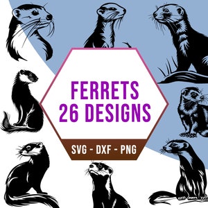 Cute Ferret SVG Bundle, Weasel Animal Pet SVG Pack, Cricut Silhouette ...