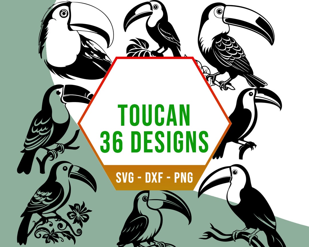 Tropical Toucan Birds SVG PNG Bundle, Rain Forest Cute Bird SVG Pack ...