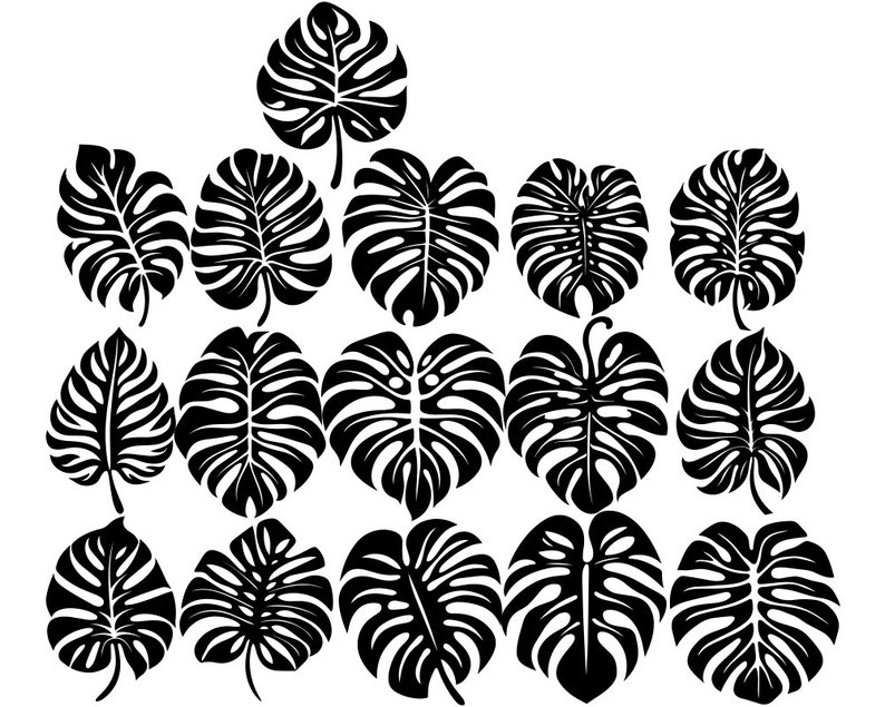 Giant Monstera SVG PNG Bundle, Cute Tropical Leaves SVG Pack, Cricut ...