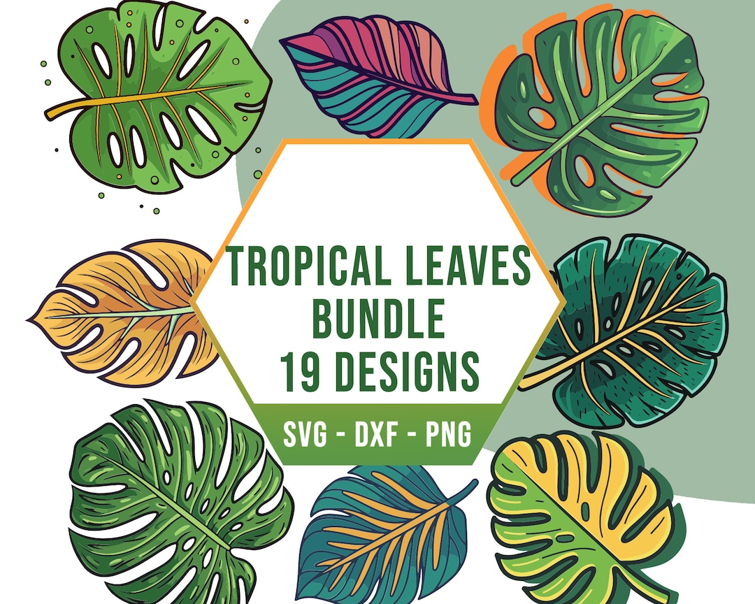 Tropical Leaves SVG PNG Bundle, Palm Tree Leaf SVG Pack, Cricut Clipart ...