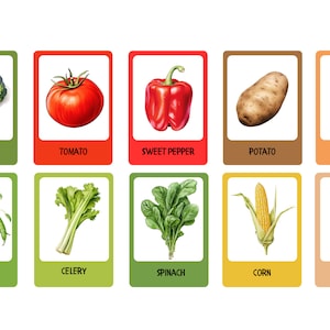 Vegetable Cards, Printable Flashcards, Learning Vegetables, Montessori ...