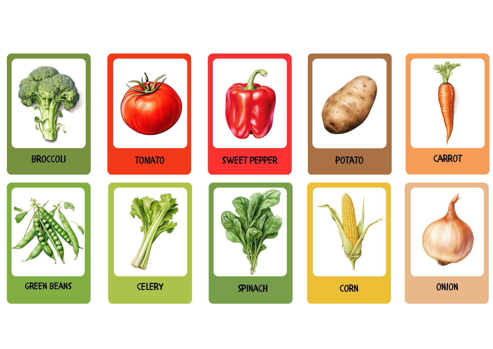 Vegetable Cards, Printable Flashcards, Learning Vegetables, Montessori ...