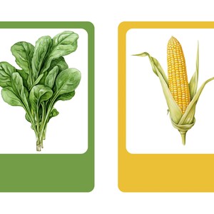 Vegetable Cards, Printable Flashcards, Learning Vegetables, Montessori ...