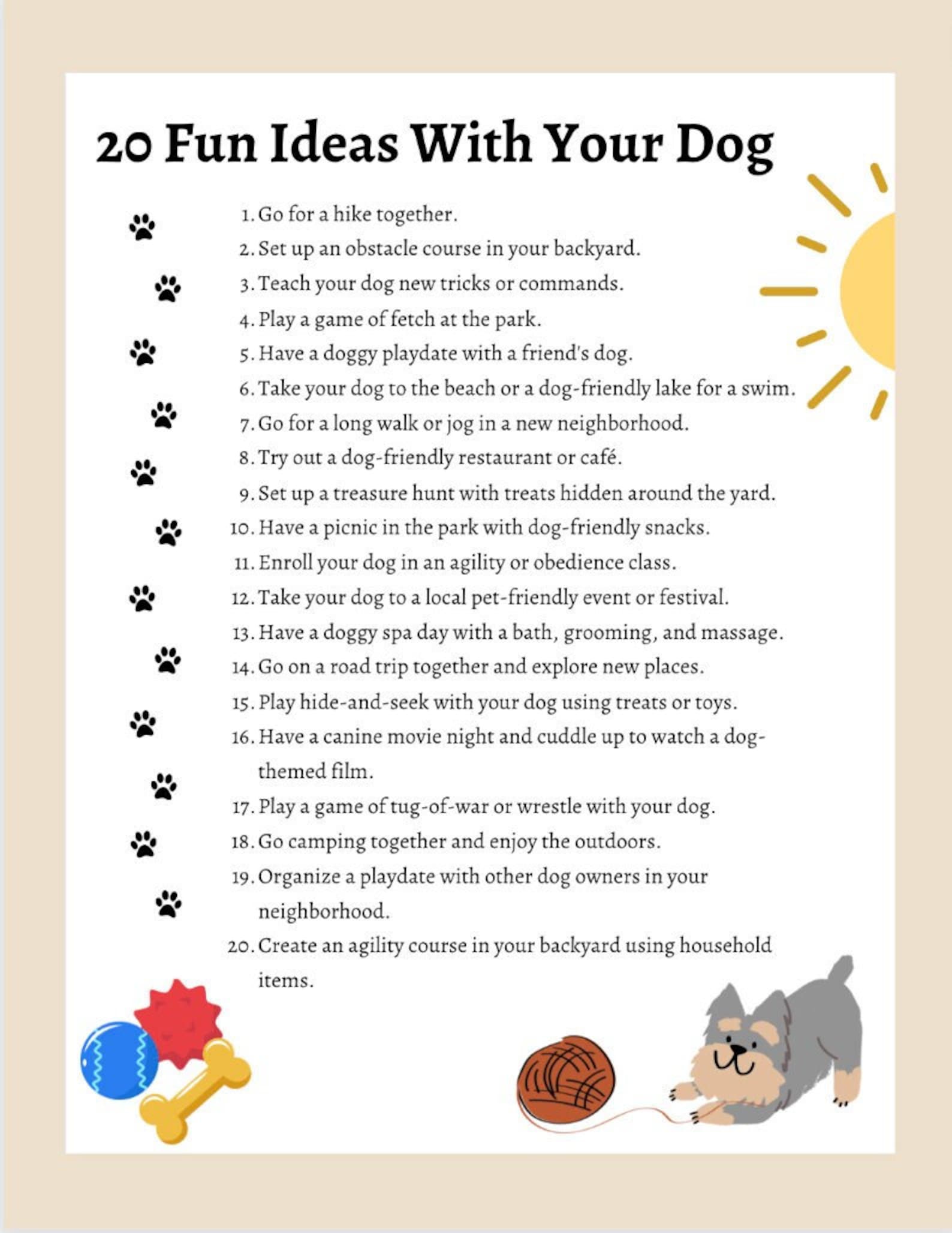 Things to Do With Your Dog | Pet Bonding Ideas | Summer Fun With Pets ...