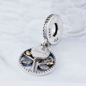 Pandora Charms - Etsy