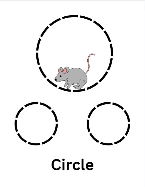 Tracing Shapes Preschool Through Elementary - Etsy