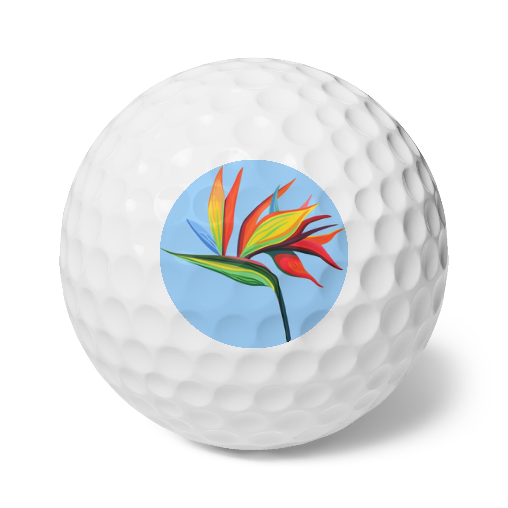 Golf Ball Gift Set 6 Piece, Bird of Paradise, Custom Accessory for Game ...
