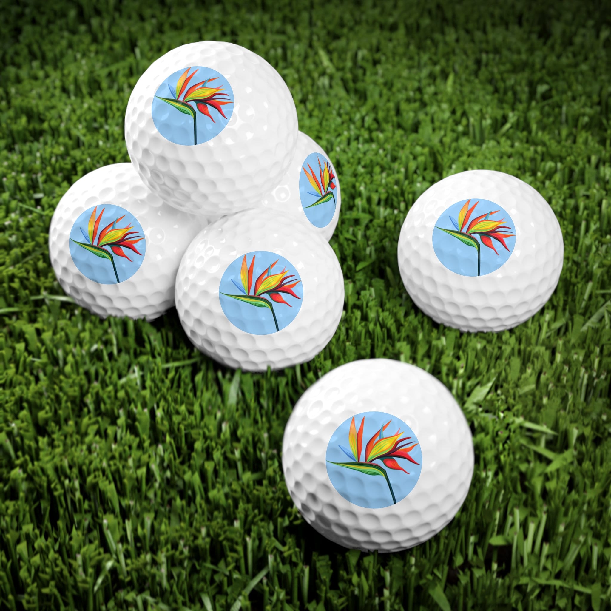 Golf Ball Gift Set 6 Piece, Bird of Paradise, Custom Accessory for Game ...